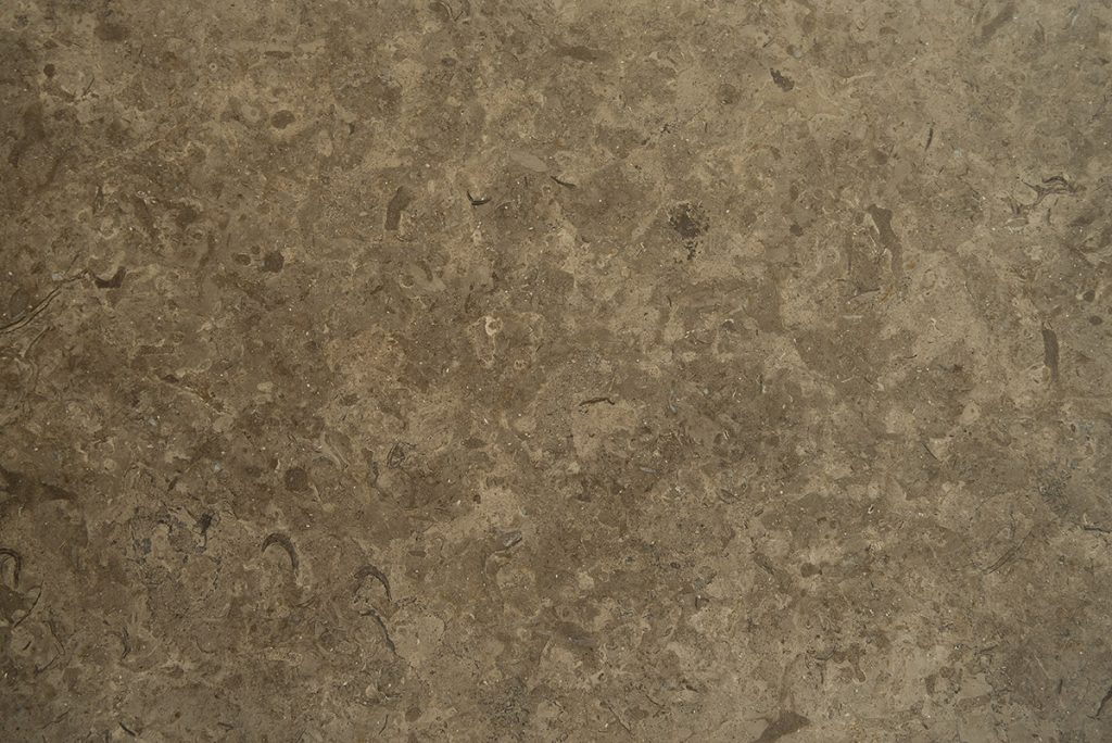 Catreen Dark | Nile Sons